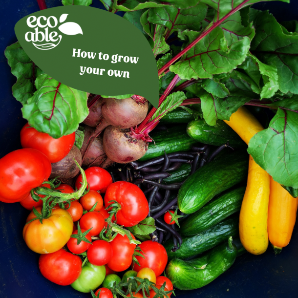 How to grow your own - Eco-Able